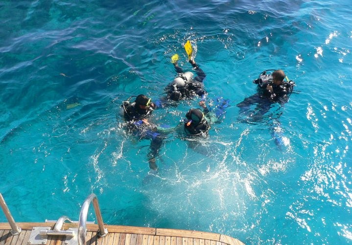 Everything You Need To Know About Diving in Hurghada, Egypt – LIFE OF SHAL