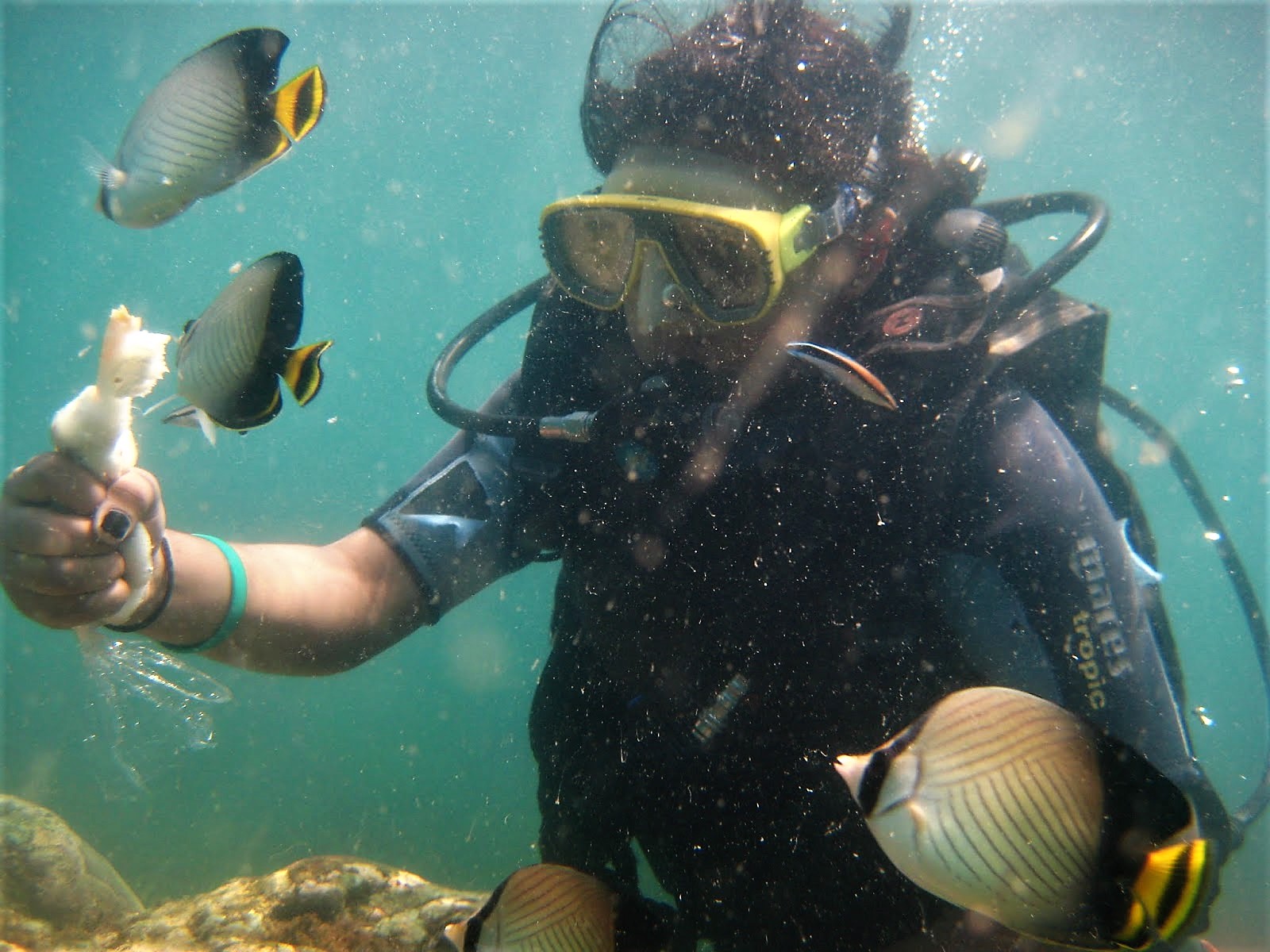 10 Simple Scuba Diving Tips for Beginners – LIFE OF SHAL
